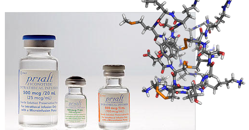 Gentes: How The Cone Snail Can Reduce Nerve Pain