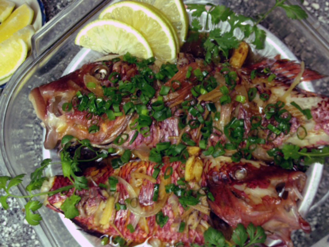 Red Sea Ocean Adventures: Big Uhu