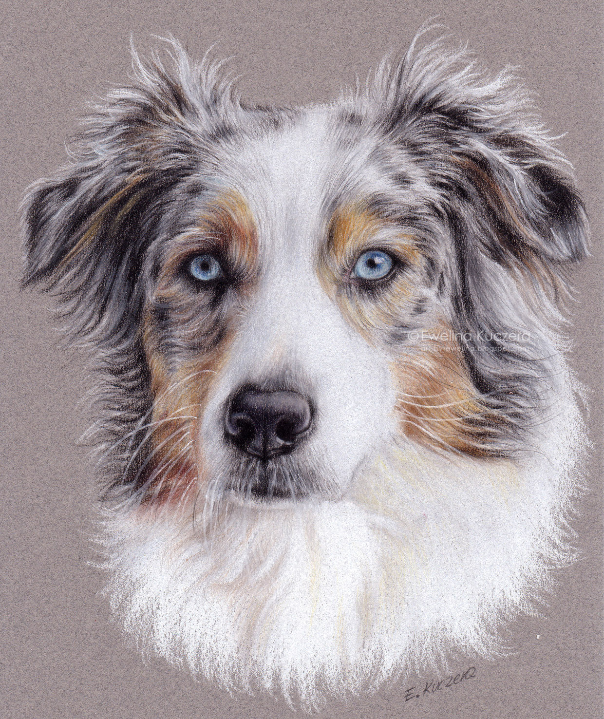Artistic Blog - learn how to draw with colored pencils: Dogs