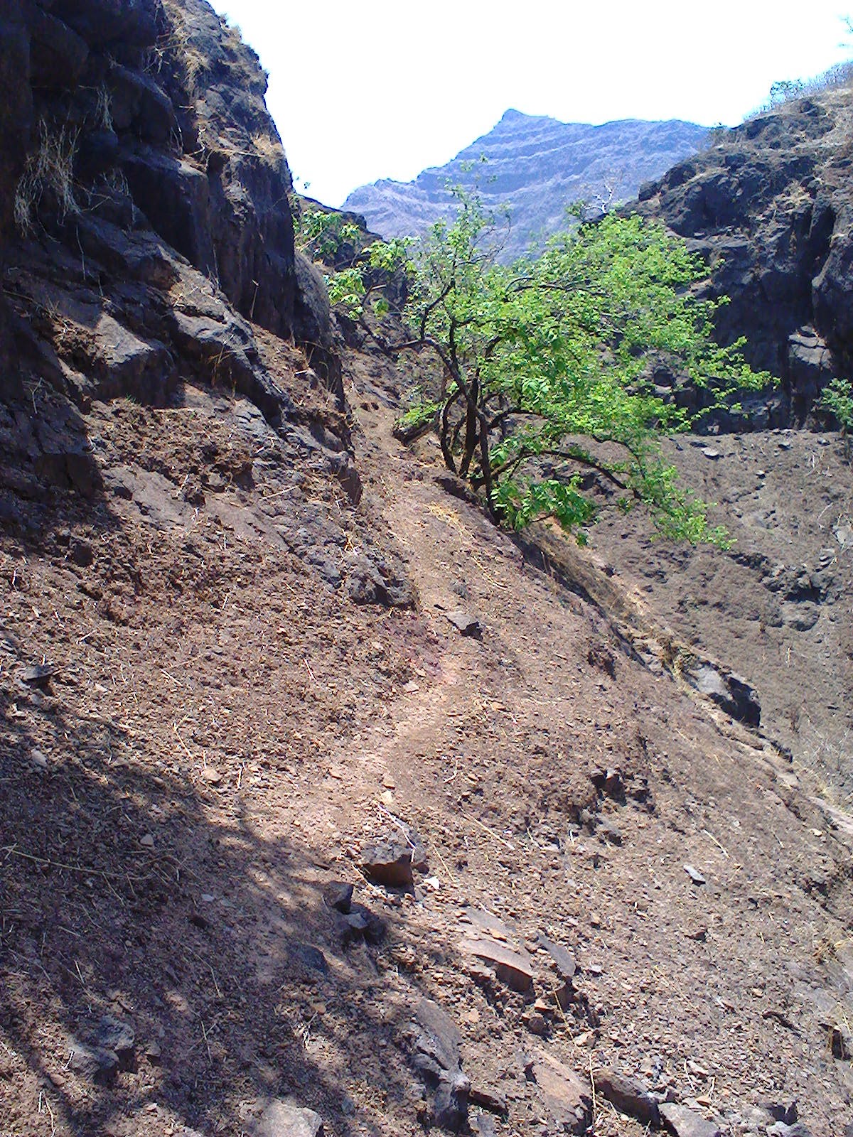 Yash Gaikwad - BHATKANTI: Chandragad to Arthur's seat trek