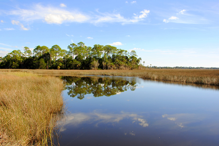 Desolation Florida: The Dixie Mainline and Shired Island