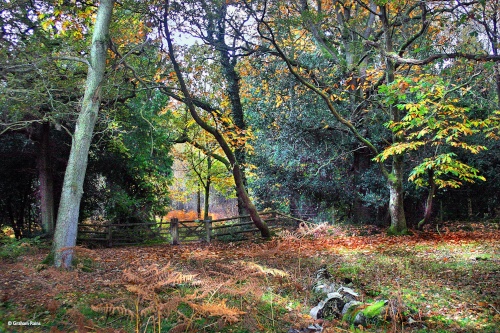 Emma A2 advanced portfolio