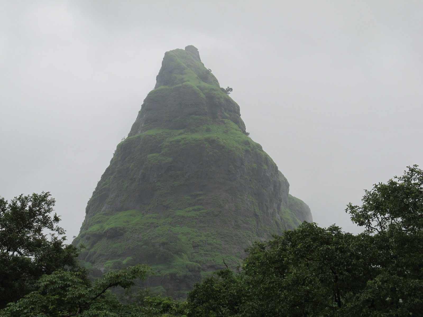 photos of trek trip: Bhimashankar