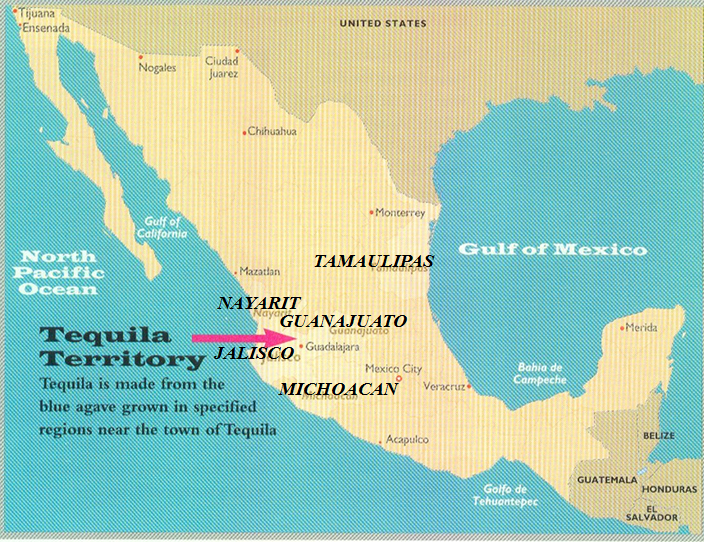 EL MEJOR TEQUILA MEXICANO