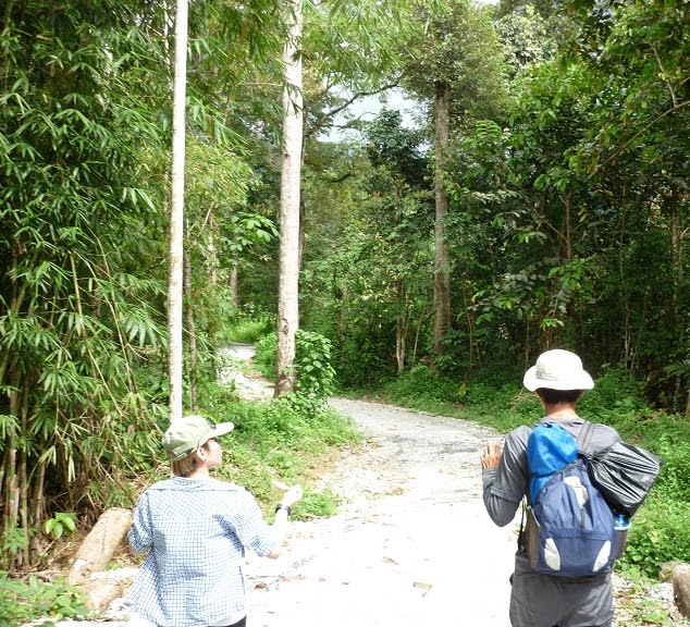 Amazed by Sarawak: The Future Prospect of Jangkar Waterfall as an ...