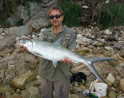 Milkfish Production System for Food Truck Business Information ...