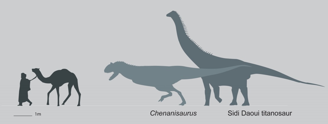 Species New to Science: [Paleontology • 2017] Chenanisaurus barbaricus ...