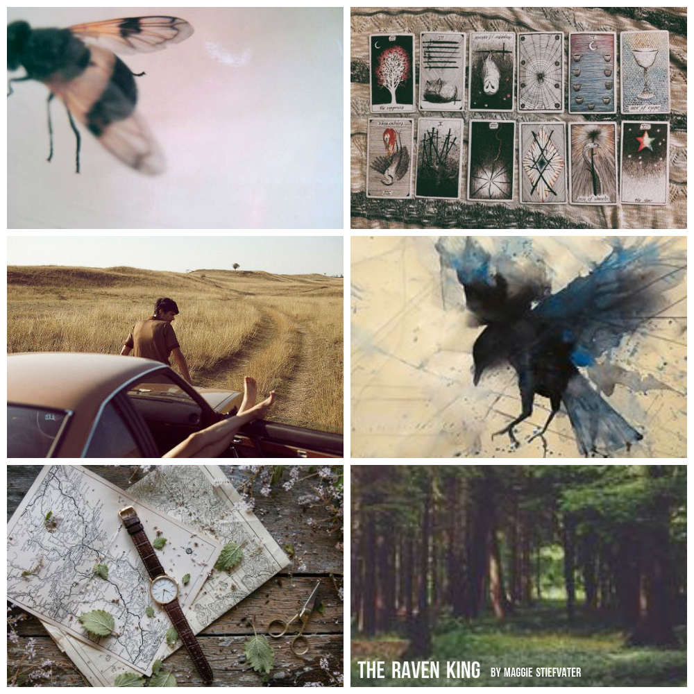 J R L i n d z : Book Review: The Raven King by Maggie Stiefvater