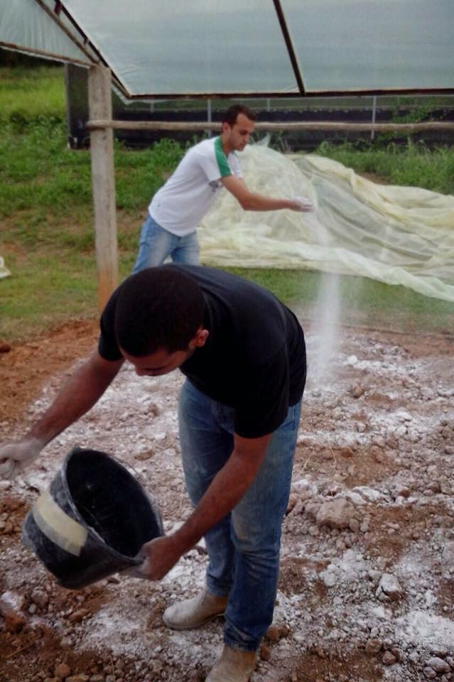 Preparo de solo, calagem e adubação. ~ Cultivo de Tomate: passo a passo