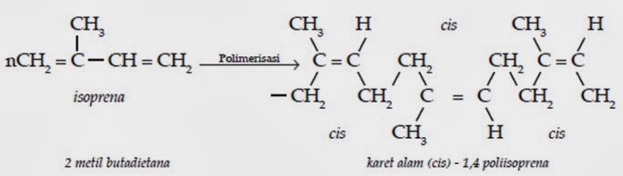 Shofia Rija: Polimer