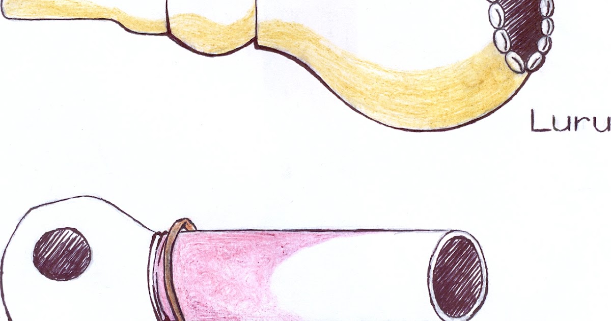 Amazing World of Lugbara: Lugbara Artefacts (Courtesy of Uganda Museum)