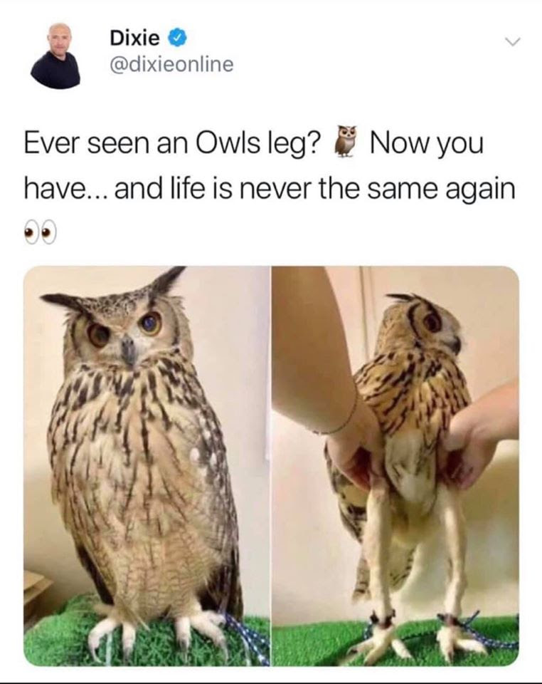 My Crazy Email: Our Pinterest Pins #34