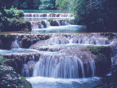 EL MEDIO AMBIENTE: LOS RECURSOS HIDRICOS