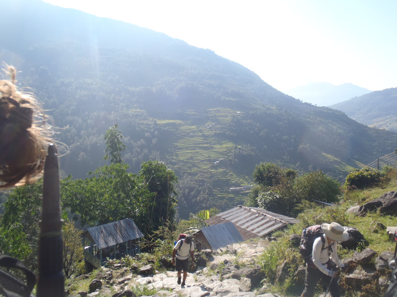 One wild and precious life: Day 2 - Hille to Ghorepani, oh and did I ...