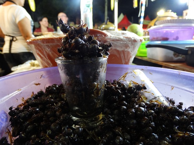 Formiga Tanajura/Içá - O inseto que é uma iguaria da culinária.