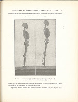 Research of Artistic Anatomy: Paul Richer “Nouvelle Anatomie artistique ...