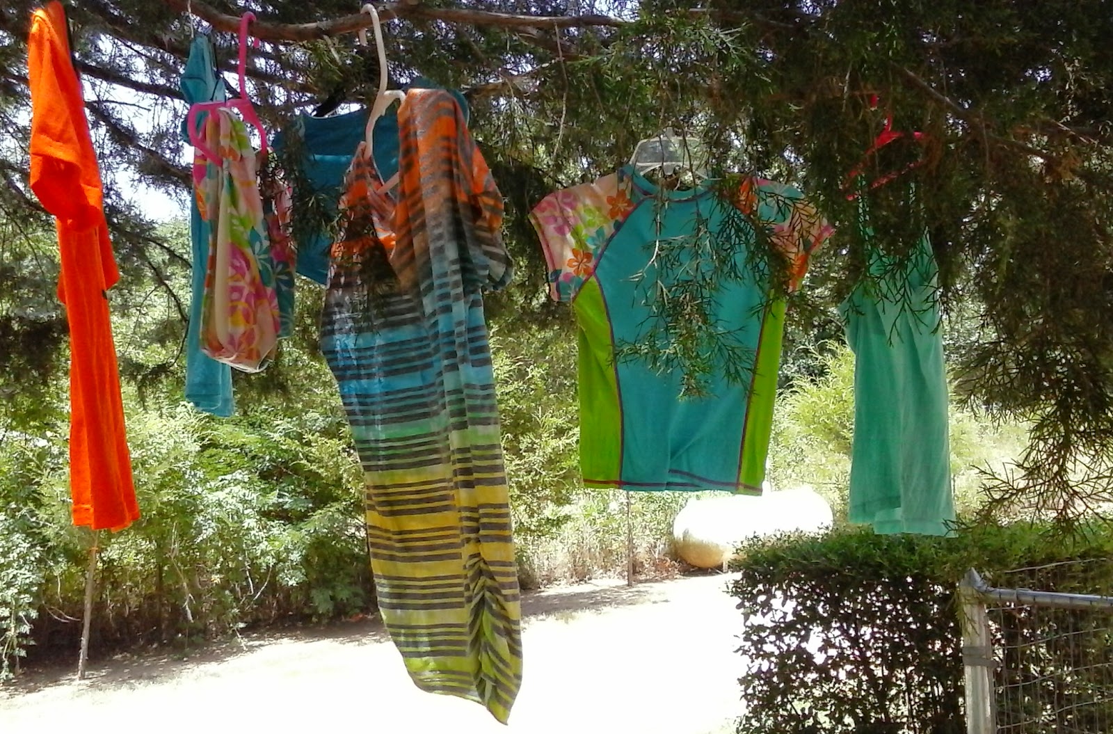 Why do we hang our clothes in a tree?