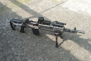 Firearms: M14 Enhanced Battle Rifle (EBR)