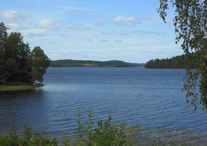 Peter Cornéer: Kultur-, vetenskaps- och naturutflykt tll Dalsland