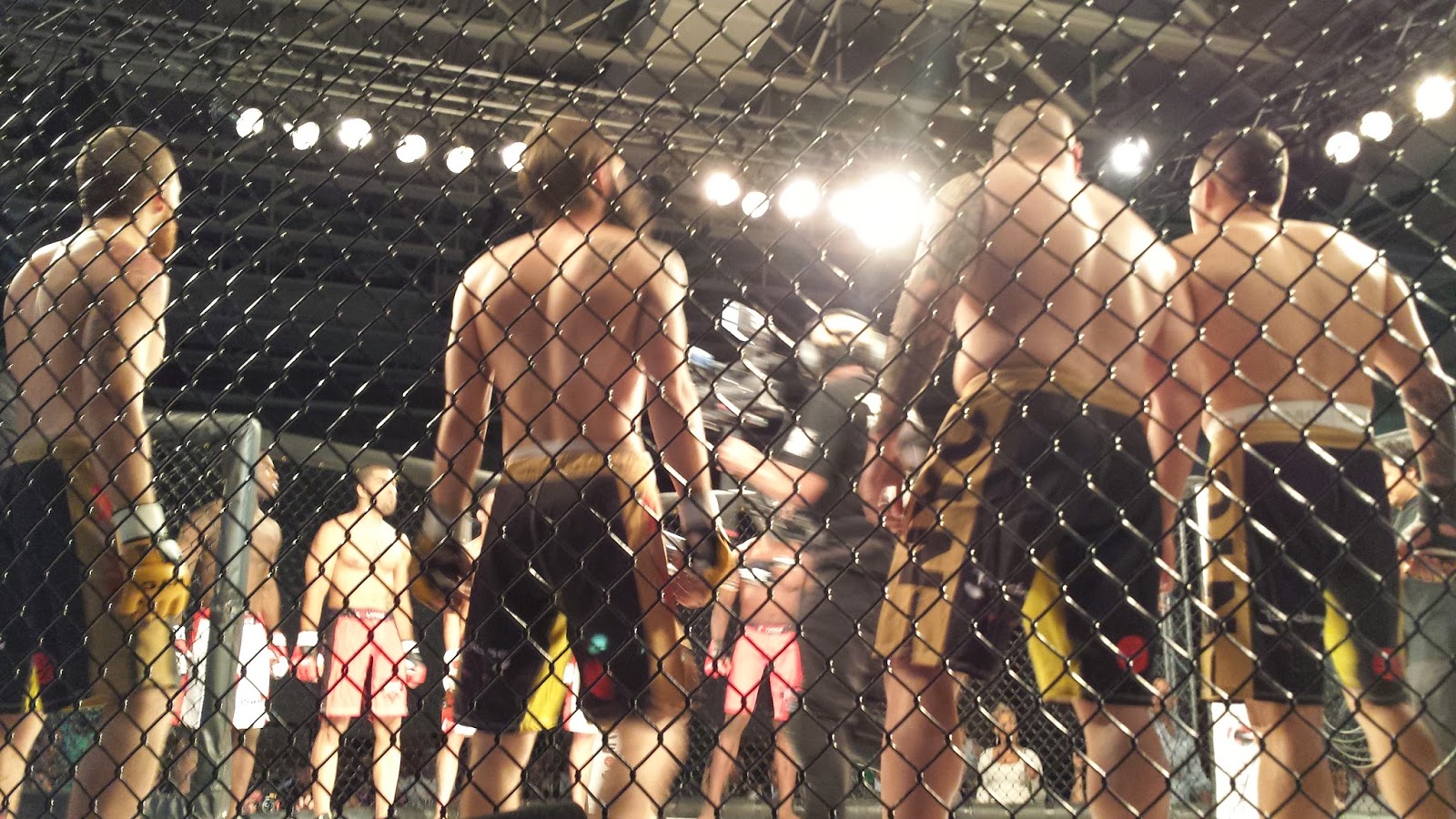 The MMA Journalist: Team New York Gets Clobbered at Golden MMA ...