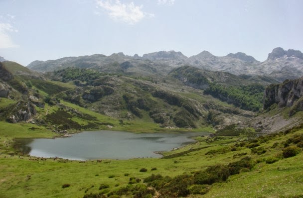 A site in the net / Un espacio en la red: Spanish biomes