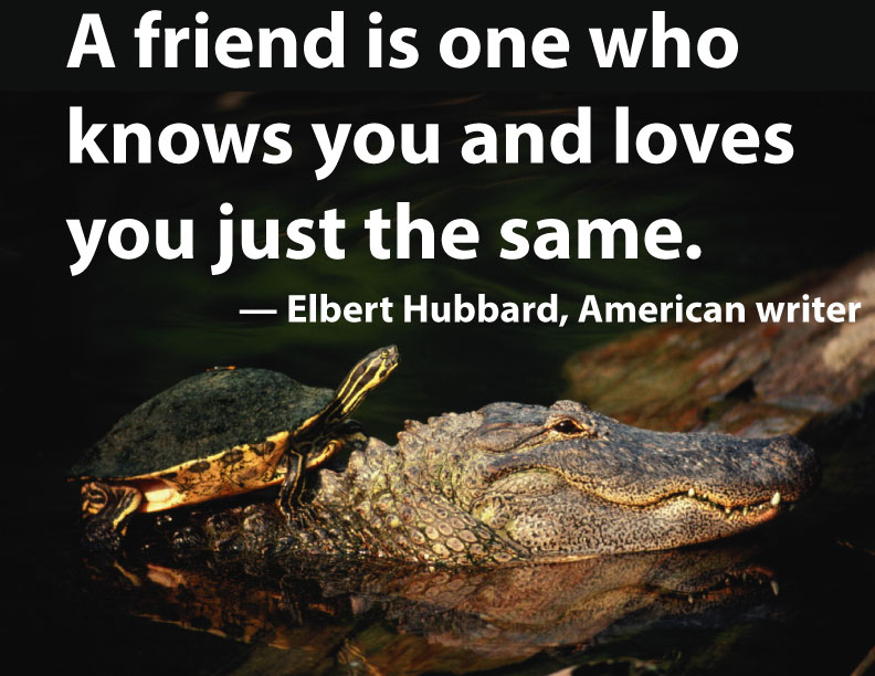 Excel Math: Celebrating Odd Day in the Classroom