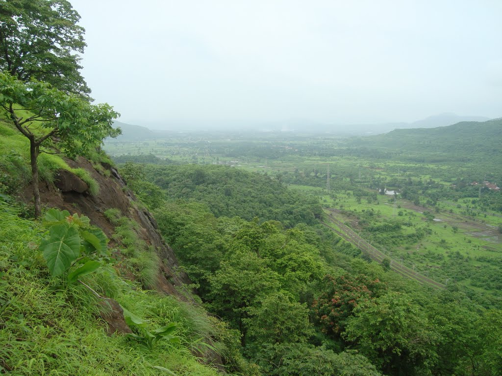 Trekking In Maharashtra: Songiri Fort a.k.a Palasdari Fort (किल्ले ...