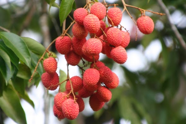 Isle of Wight Zoo Blog: Day Nineteen - packing up ready to leave