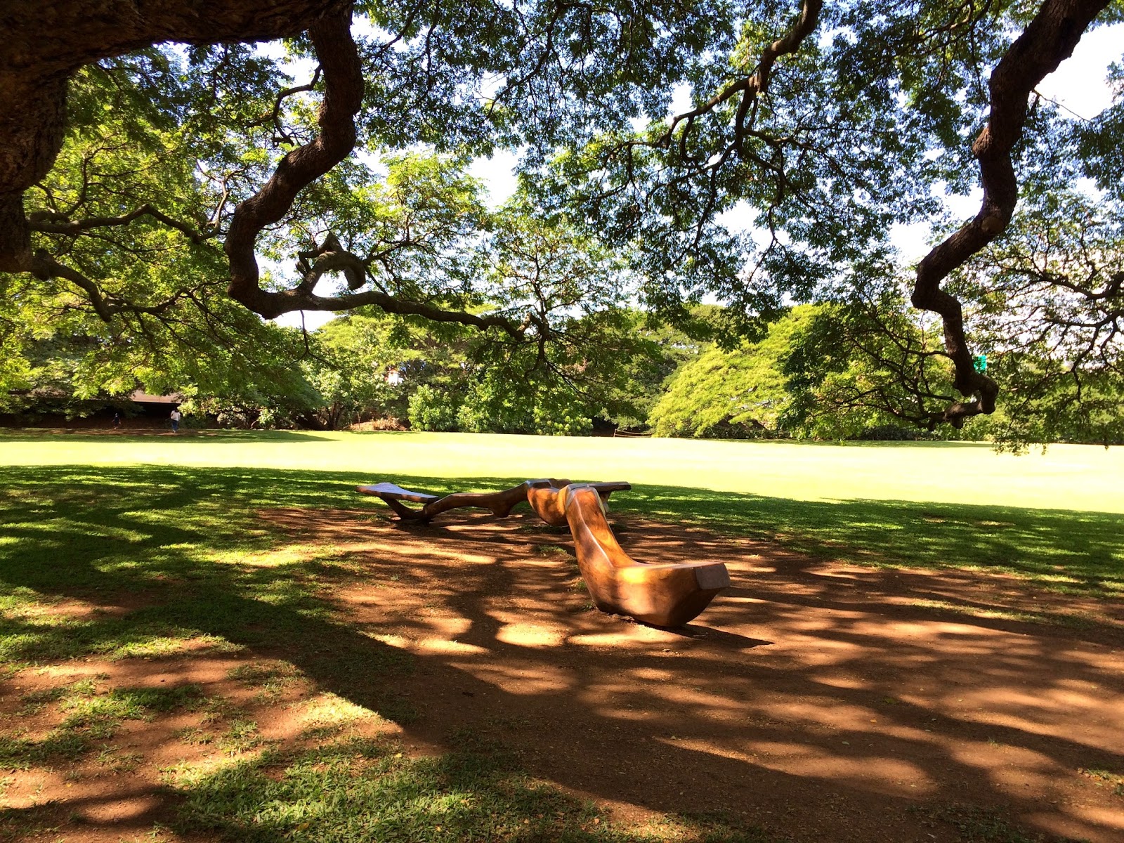Aloha from Hawaii: The Hitachi tree