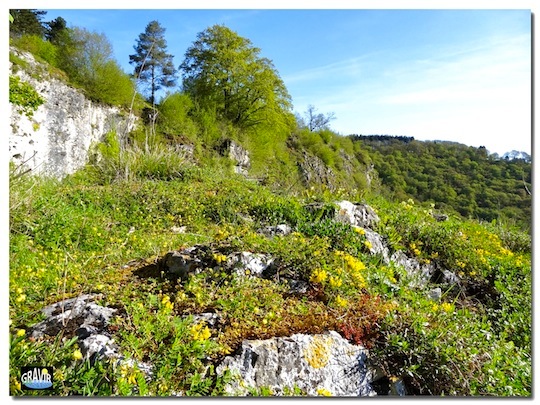 Nature & Montagne: Réserve Naturelle de Furfooz (Condroz)