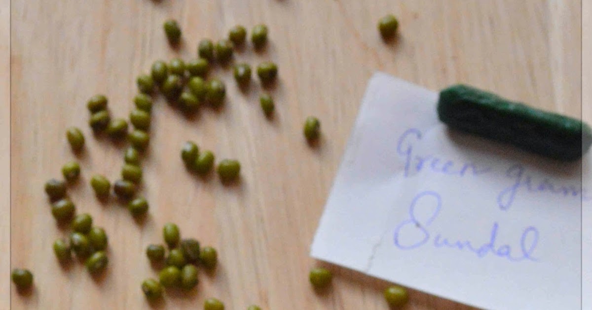 Upala: Sprouted green gram sundal/Pasi payaru sundal