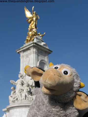 The Quandong Tree: Wiley!