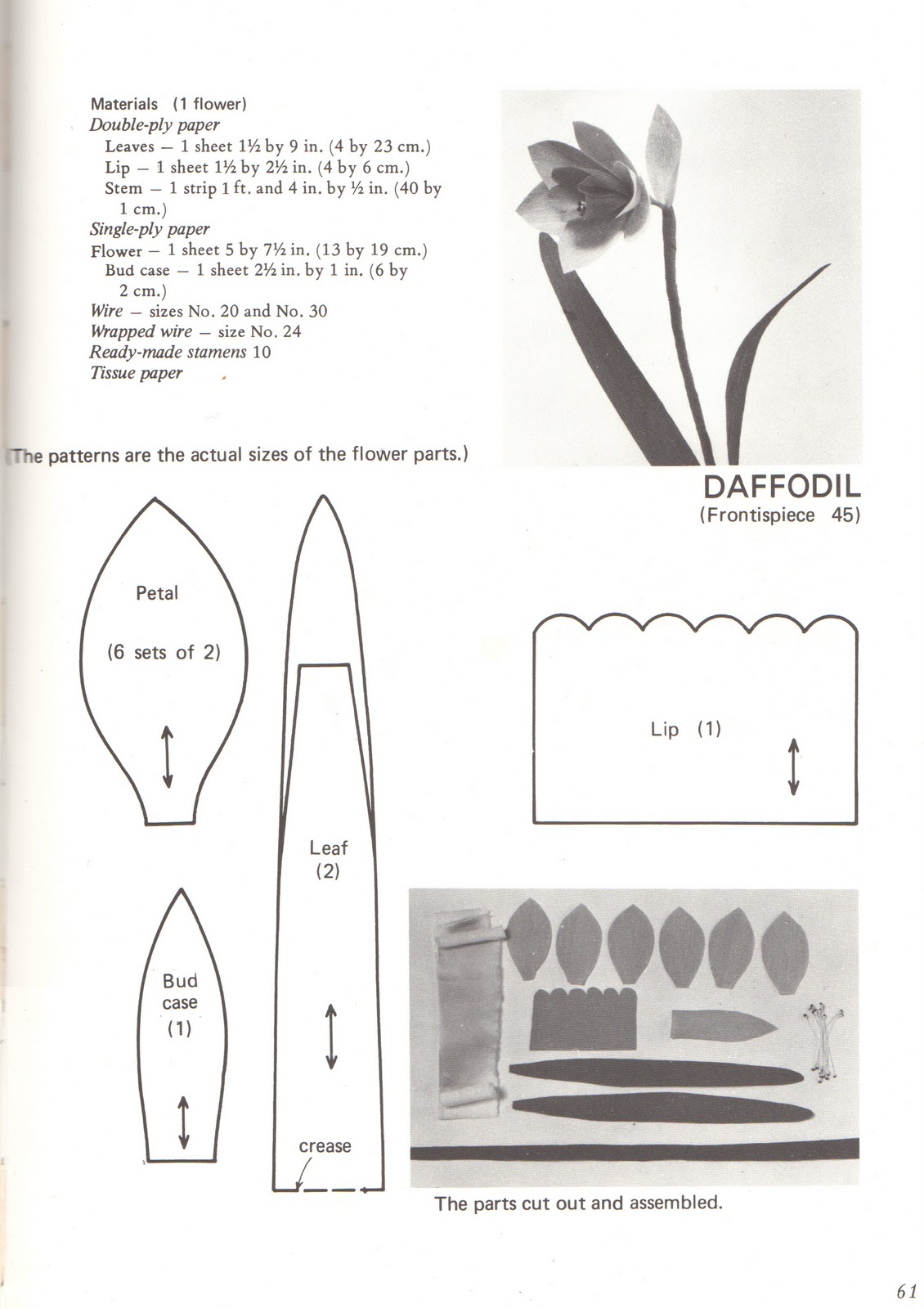 Bitter Betty Blogs: Tutorial: Make Your Own Spring -Paper Daffodils
