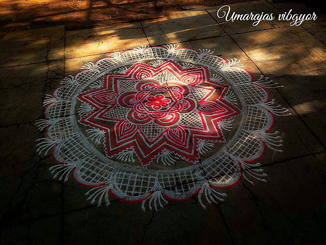 Rangoli Designs by Uma Raja