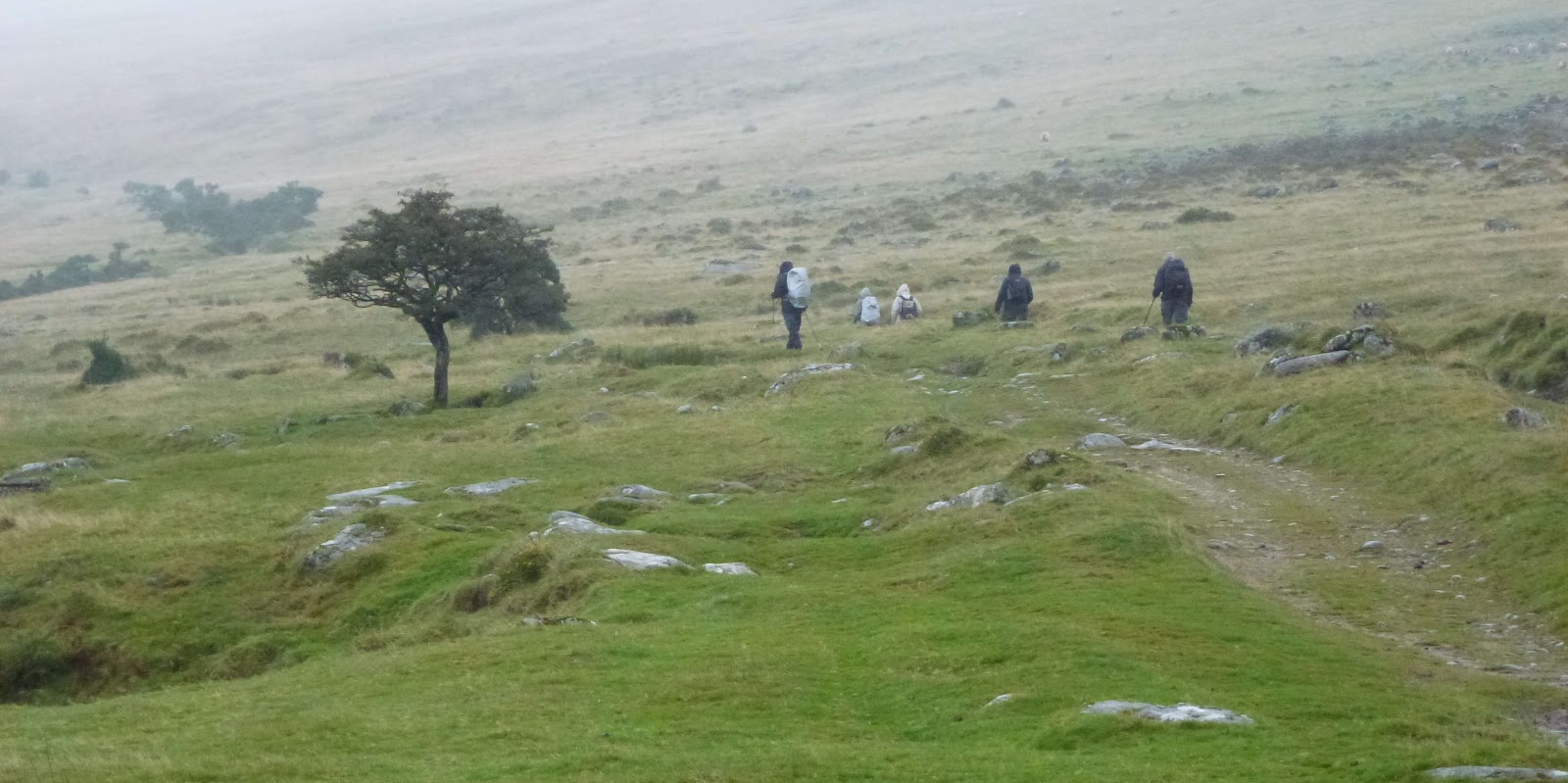 My Dartmoor Walks: Monday 10th September Peter Tavy