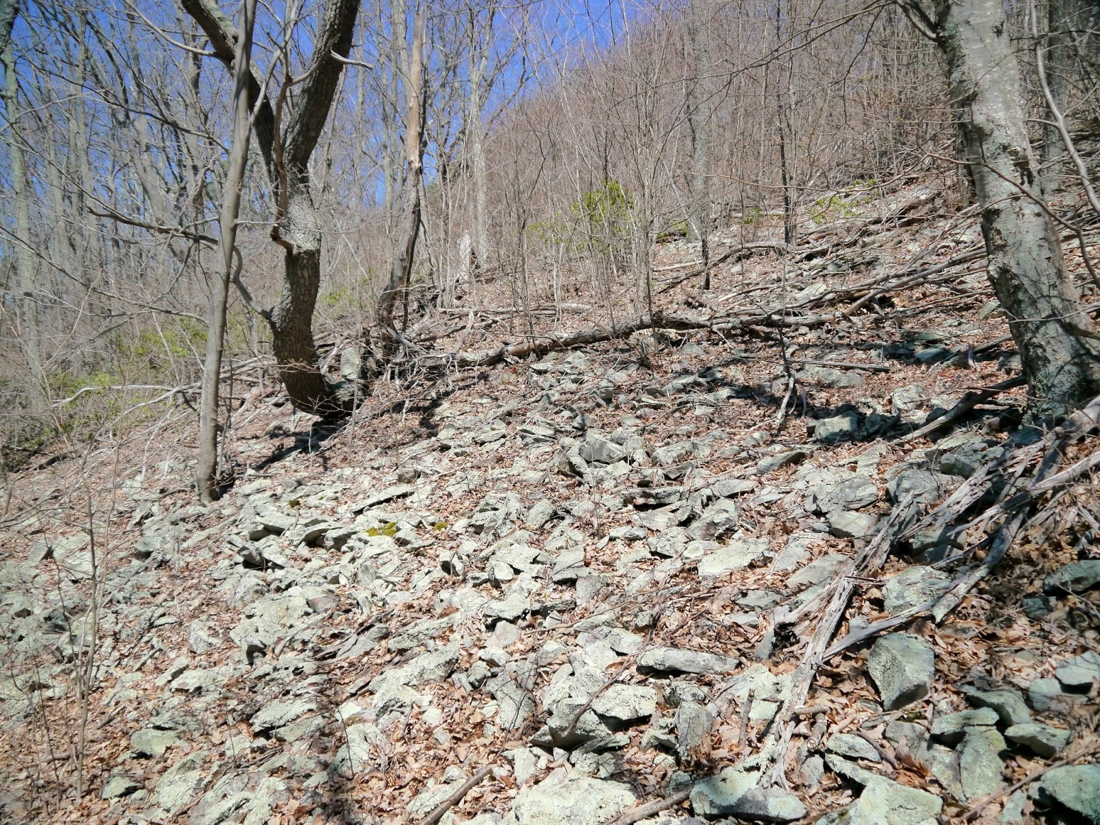 American Travel Journal: Wildcat Ridge Trailhead to Riprap Trailhead ...