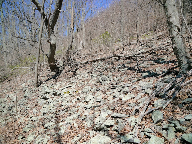 American Travel Journal: Wildcat Ridge Trailhead to Riprap Trailhead ...