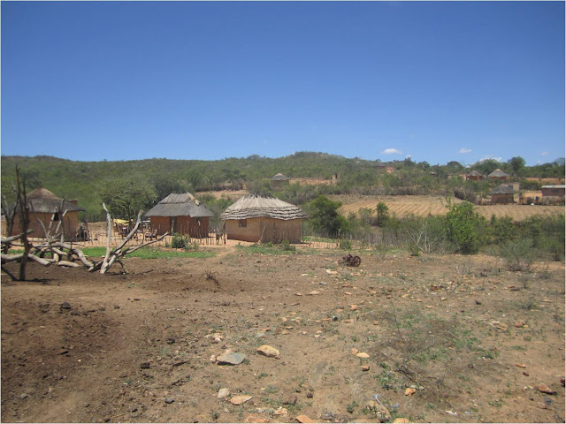 FROM A PUDDLE IN AFRICA: February 2013