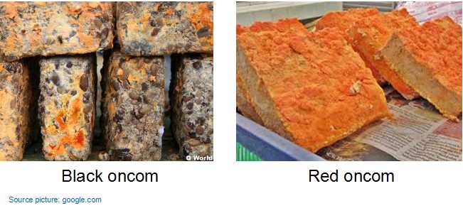 BUTTERFLY KITCHEN: Tumis oncom cabe ijo