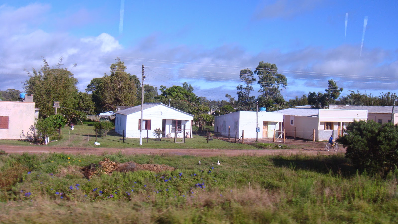 TRILHAS E CAMINHOS: Reserva do Taim - RS