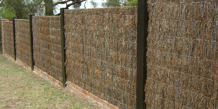 Thatch fencing: Thatch fencing