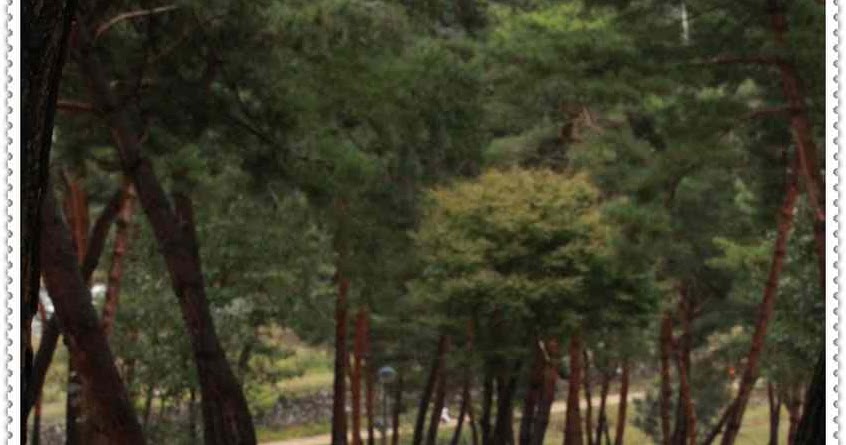 The Scriptures: Mark-05-32