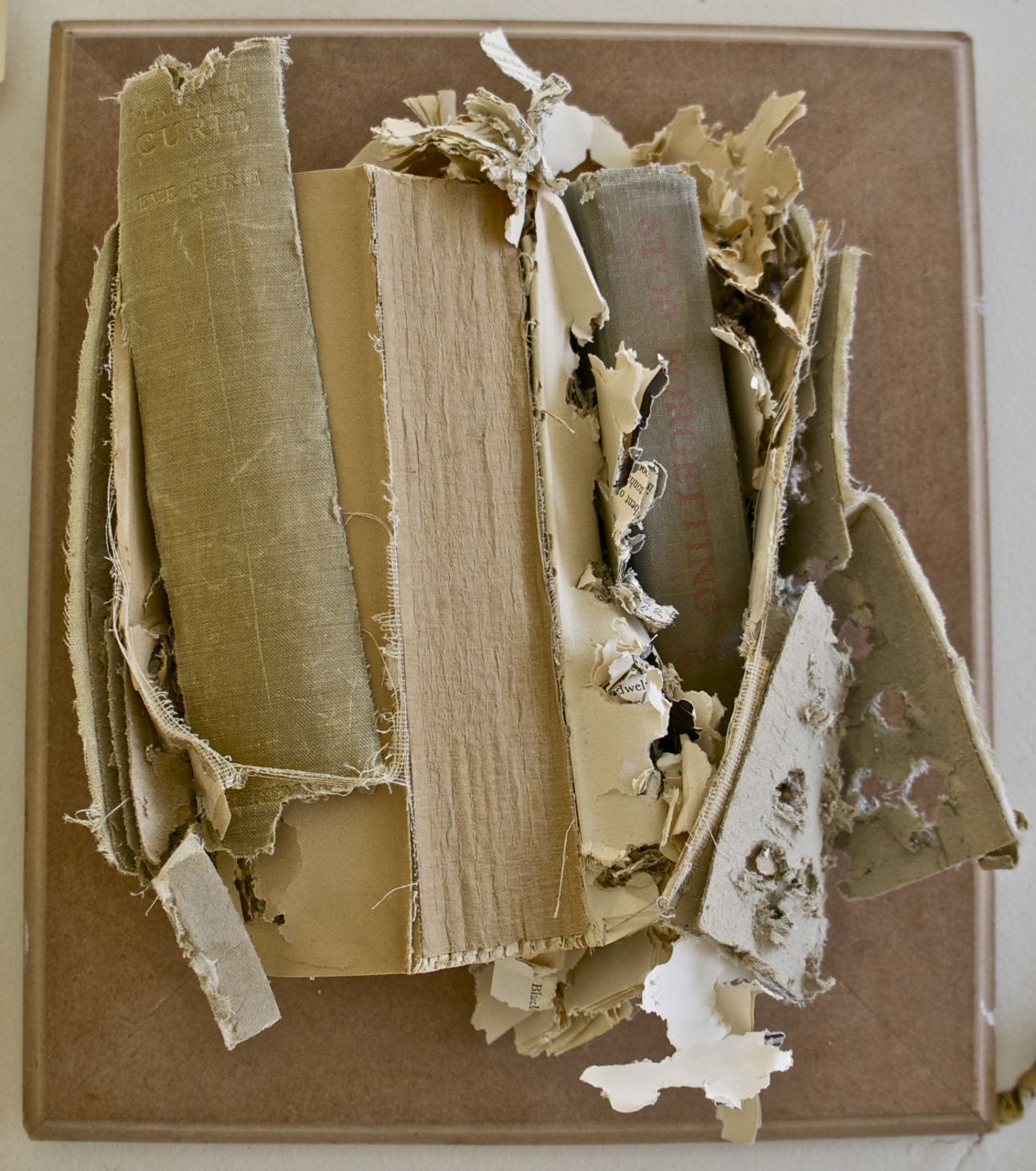 EUGENE HŐN : CERAMIC ARTIST: Hon's Artist Book; a book with a face of ...