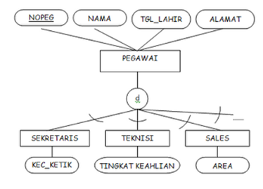 Muhammad Syarif Hidayatullah: MODEL EER (ENHANCED ENTITY RELATIONSHIP)