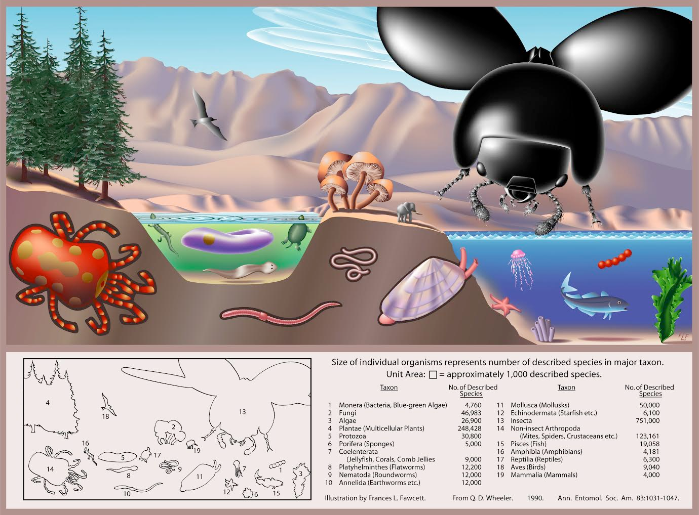 Catalogue of Organisms: The Species-Scape Picture