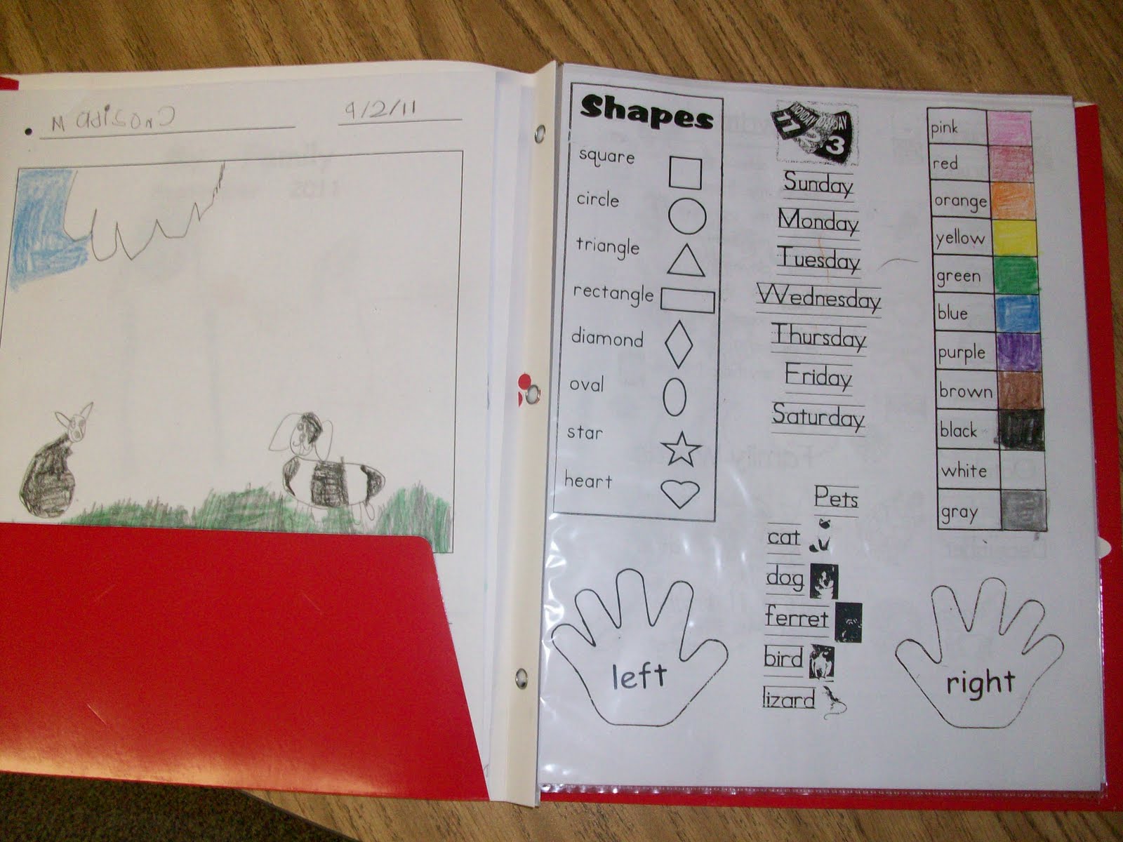 It's a Jungle Out There! A Kindergarten Blog: Writing Folders