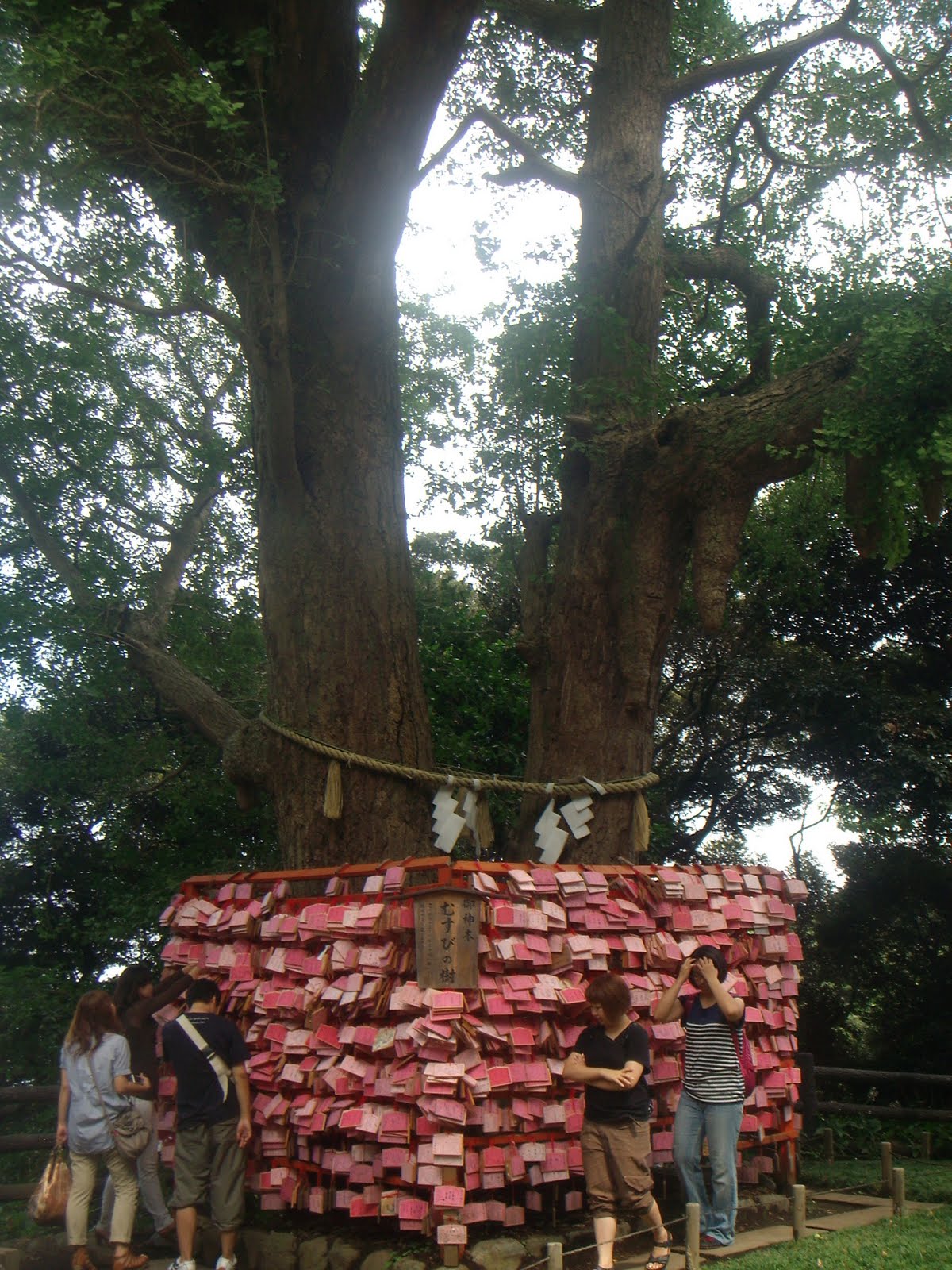 The Japan Chronicles: Fun on Sacred Shores: An Enoshima Travel Guide