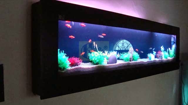 Aquarium solo: Aquarium Dinding