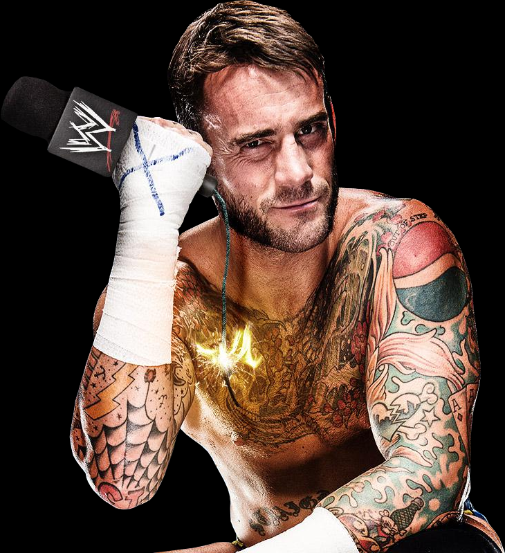 Top Ten Things Cm Punk Matches