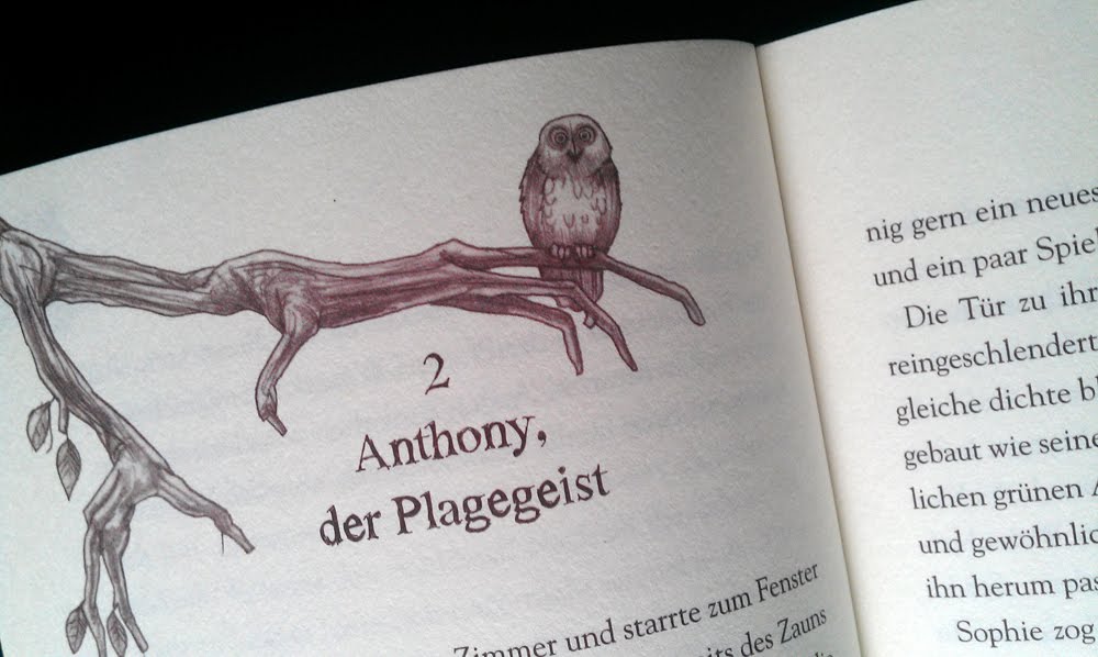 Timo Grubing IlluBlog: Some illustrations from the books: